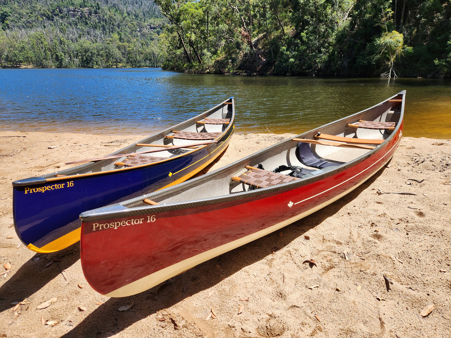 Paddle & Portage Canoes