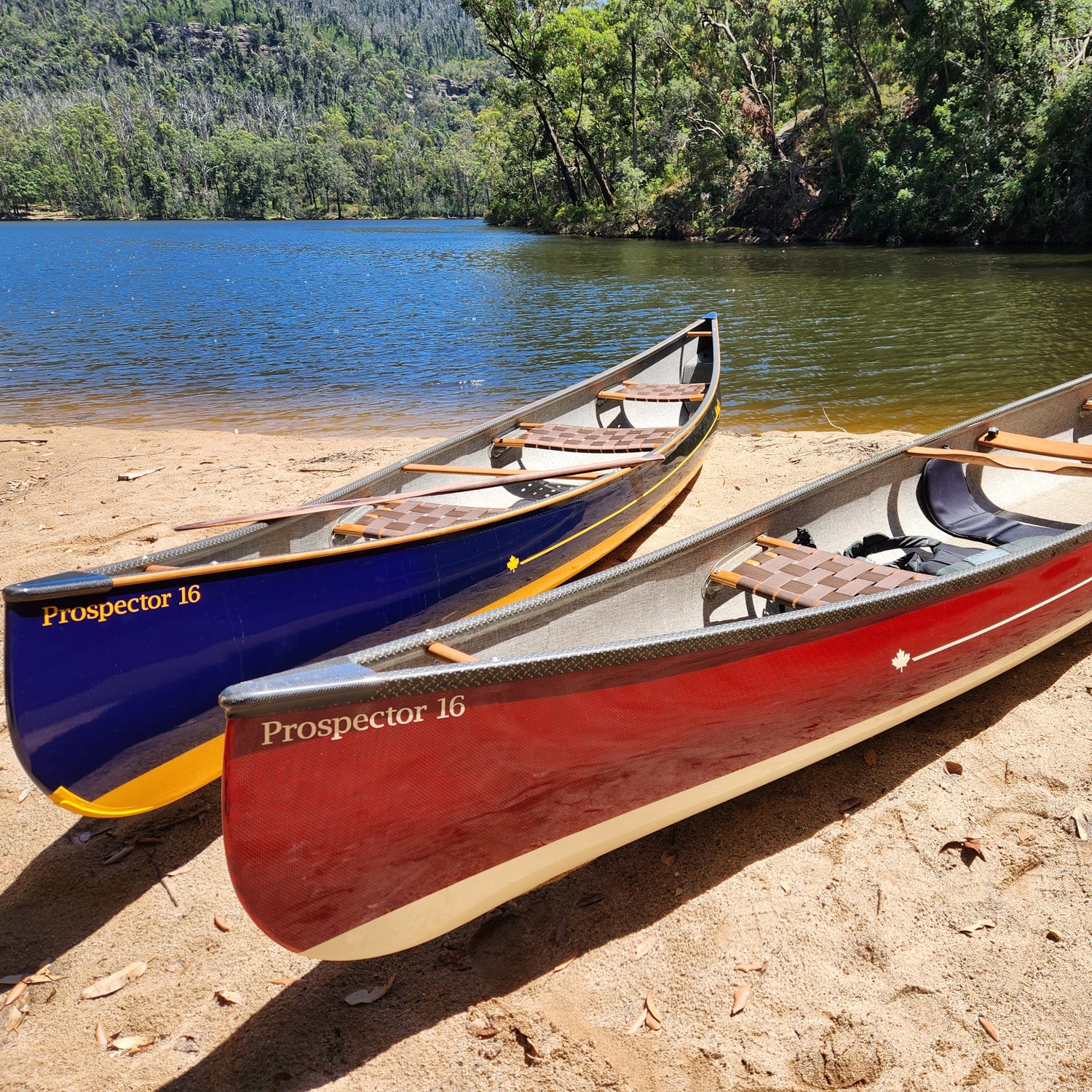 Paddle & Portage Canoes